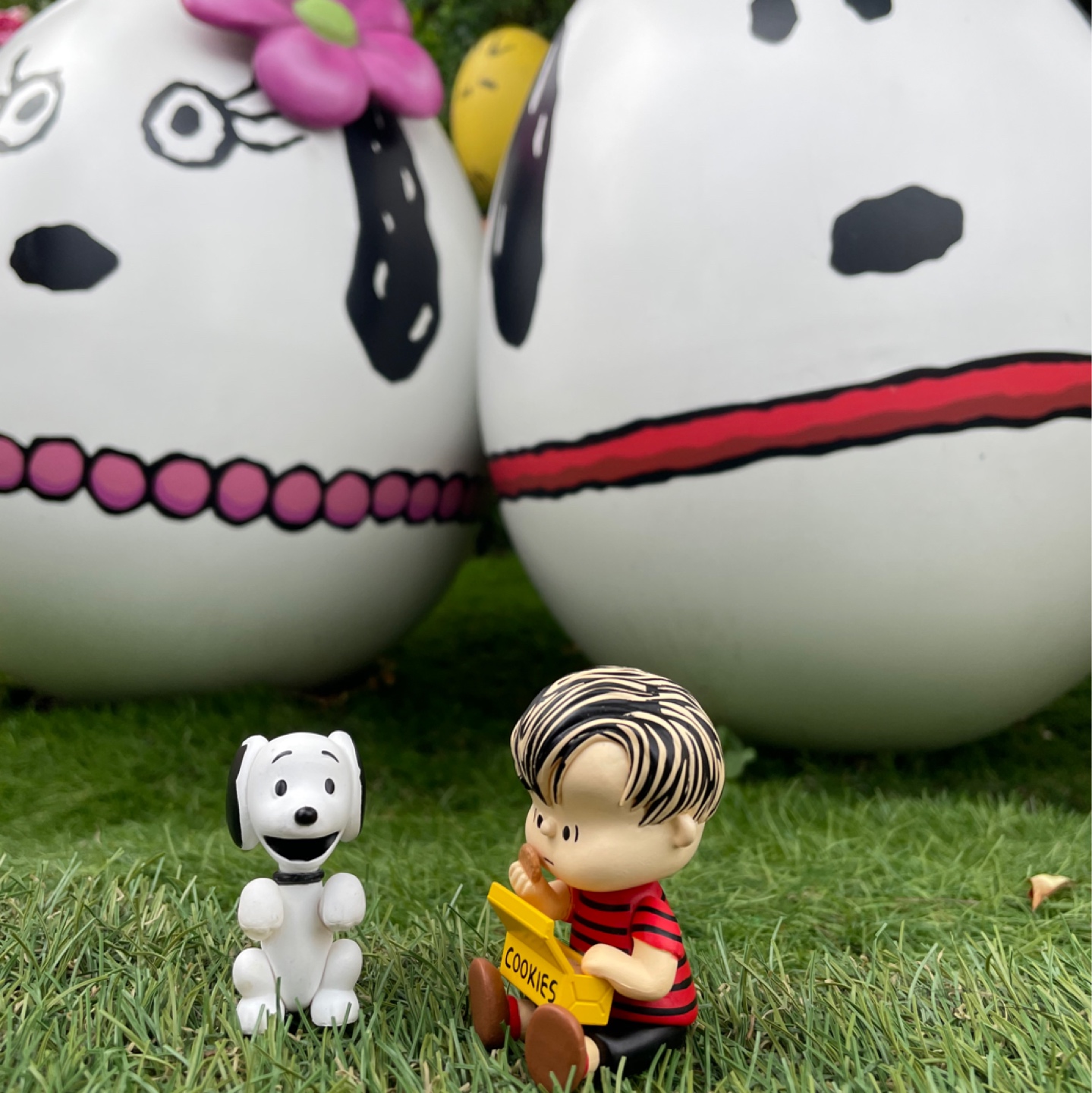 USJ | 콜리(Colley)