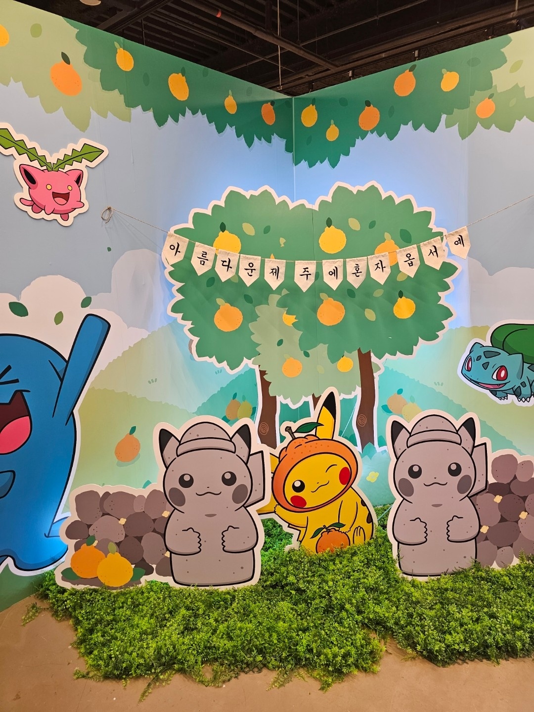 포켓몬 제주 2023🎈 | 콜리(Colley)