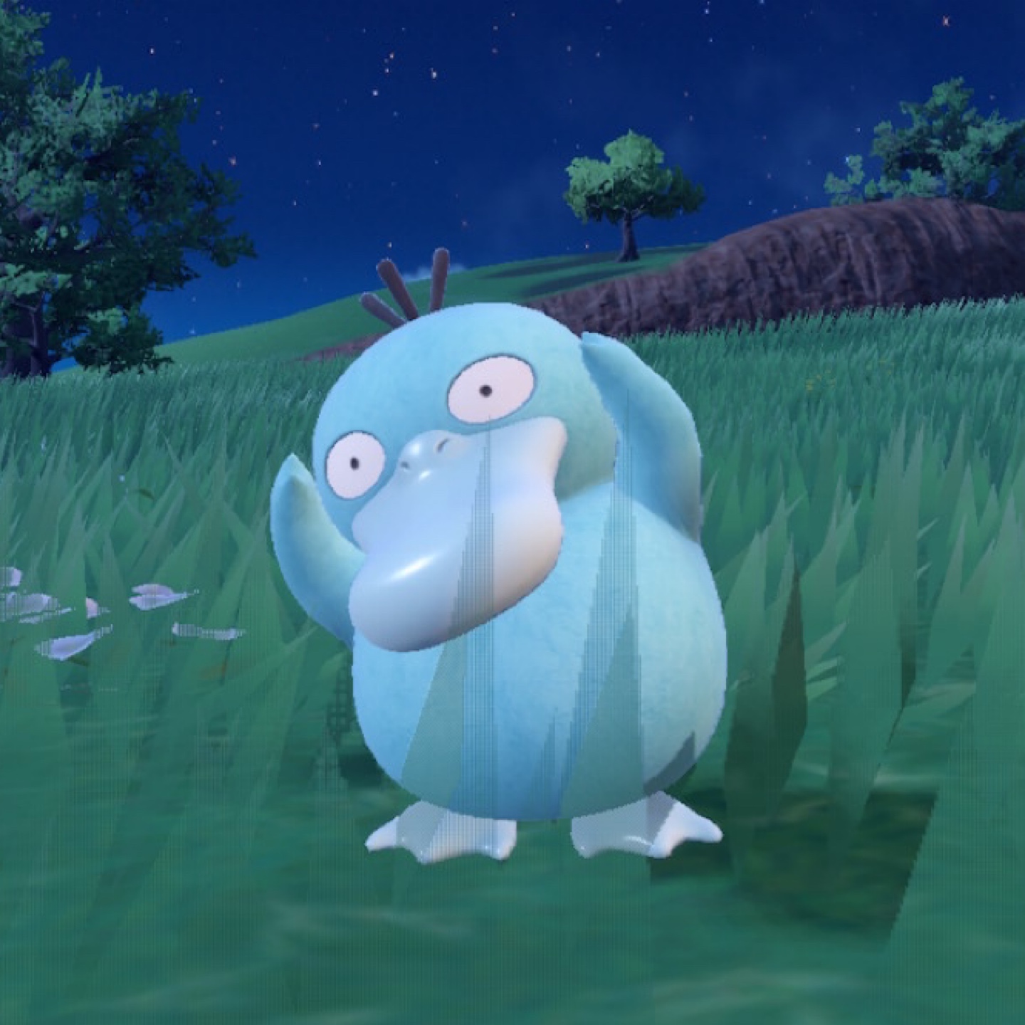 Shiny Psyduck 🩵 | 콜리(Colley)