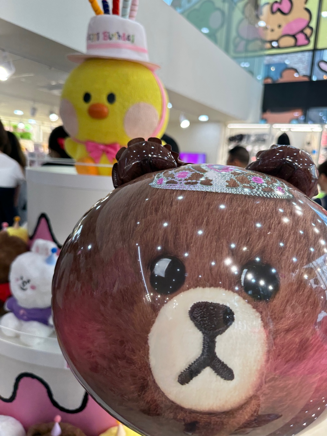 울 초코곰돌이 브라운 생파 다녀왔어요! | 콜리(Colley)