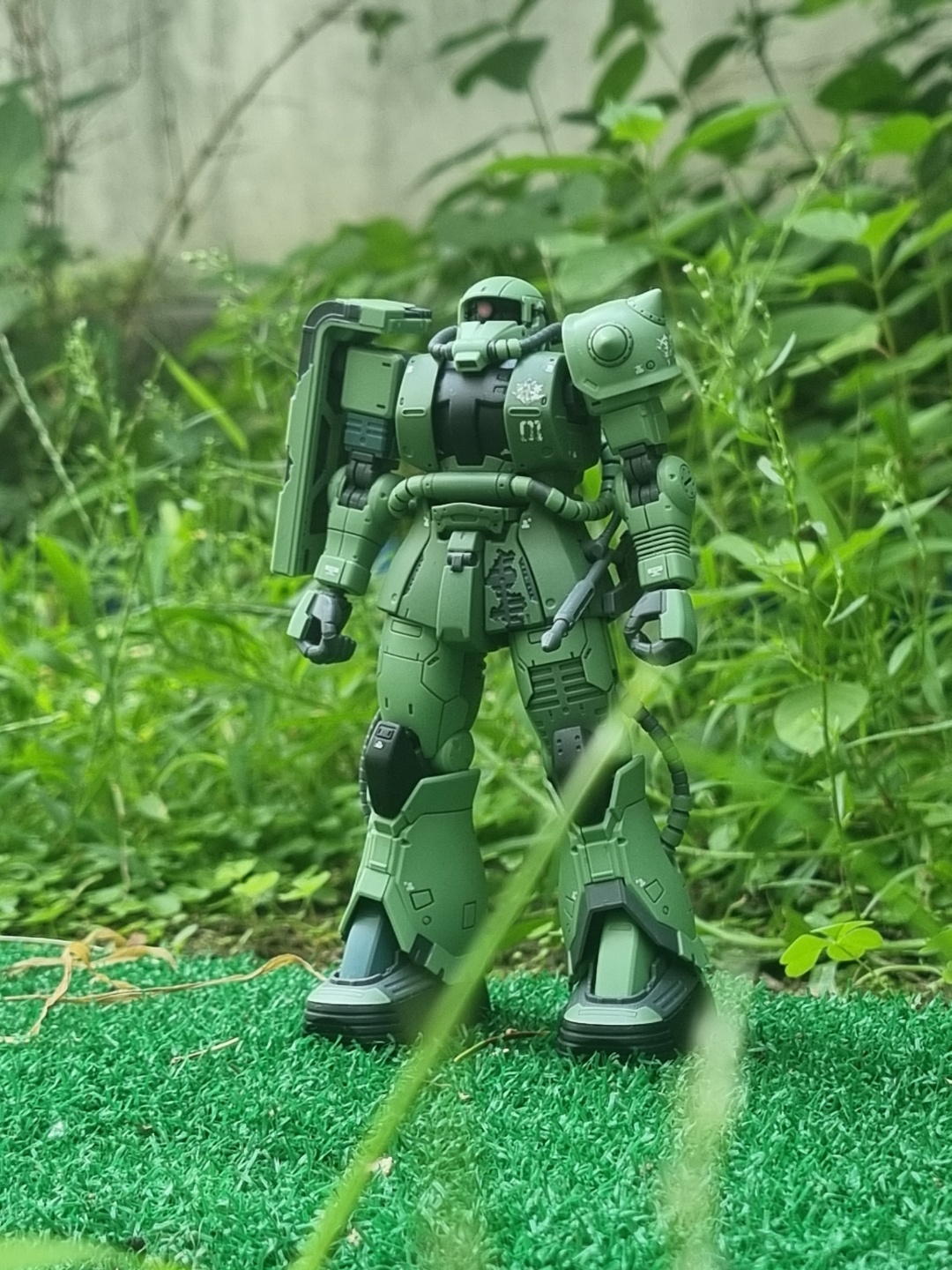 HG도안자쿠 야외 촬영 | 콜리(Colley)