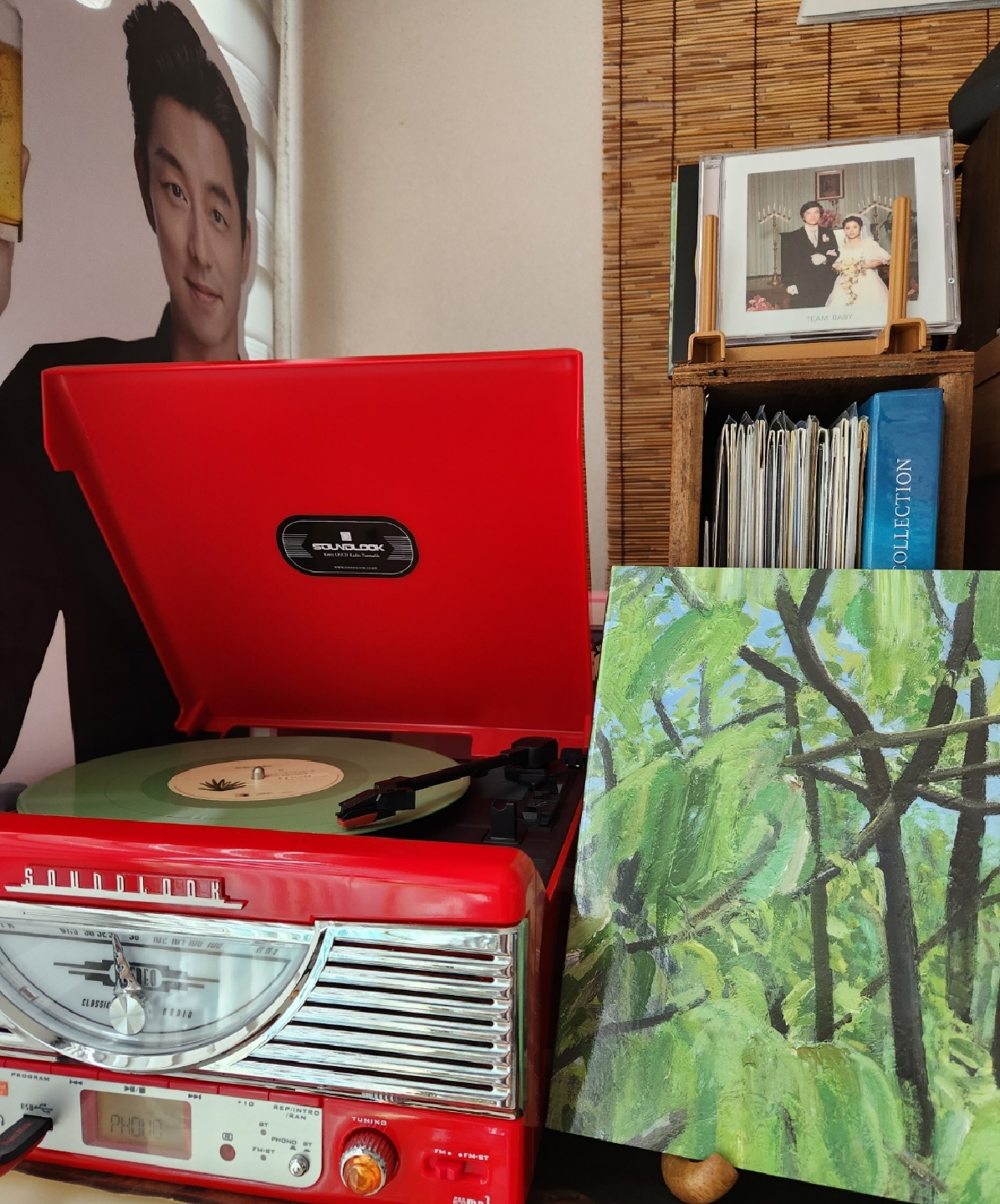 lp 청음존 | 콜리(Colley)