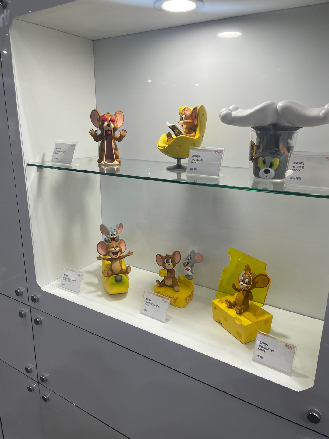 2023 서울 팝콘 소프 스튜디오 | 콜리(Colley)