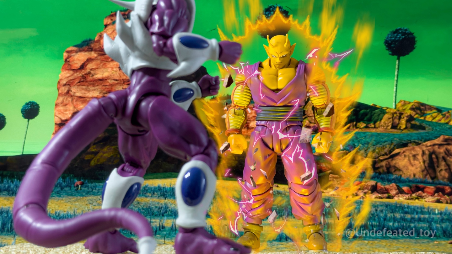 Shf 오렌지 피콜로 | 콜리(Colley)