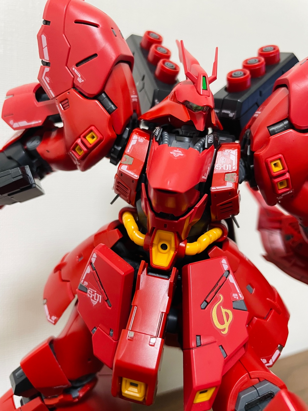 RG 사자비 | 콜리(Colley)