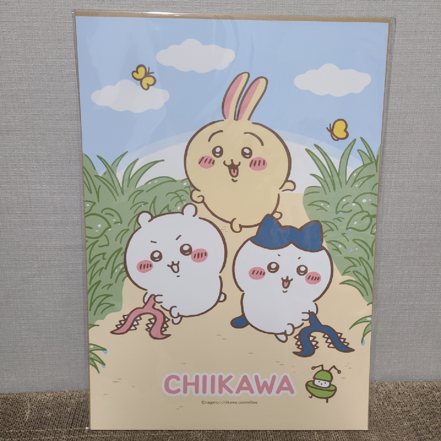 💙 | 콜리(Colley)