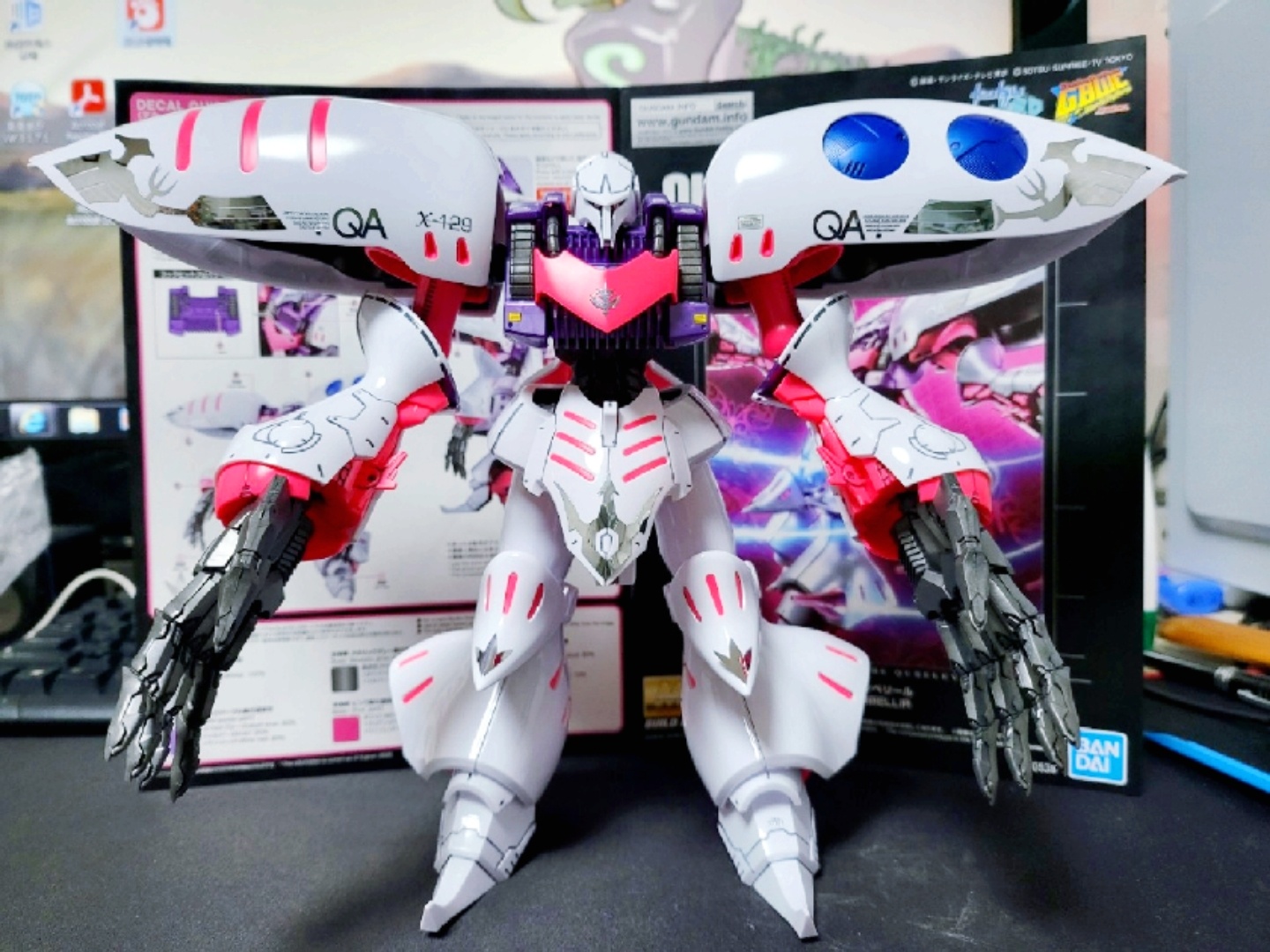 프반한정 MG 큐베레이 앙베리르 | 콜리(Colley)