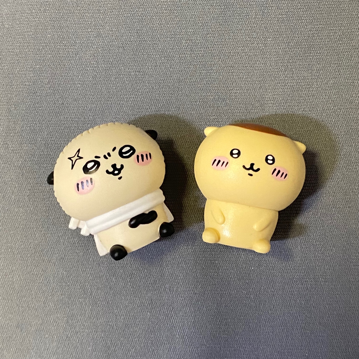 랏코 🤎 쿠리만쥬 콜리 Colley