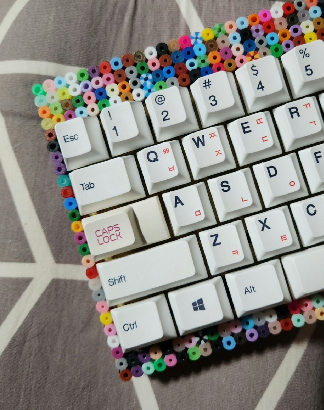 P+Art65(파트65) | 콜리(Colley)