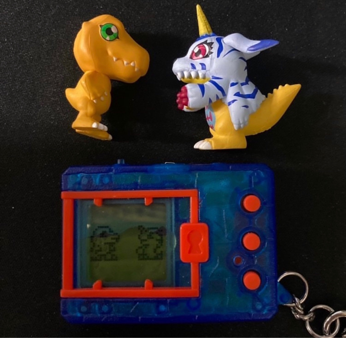 20주년 벽돌 | 콜리(Colley)