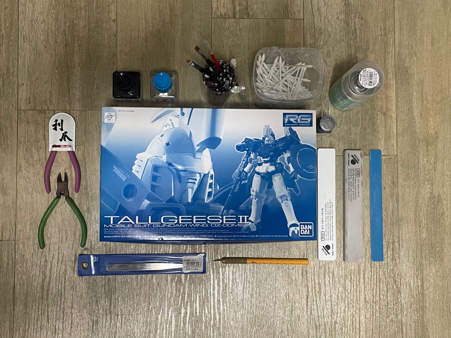 [RG] 톨기스 II 시작 | 콜리(Colley)