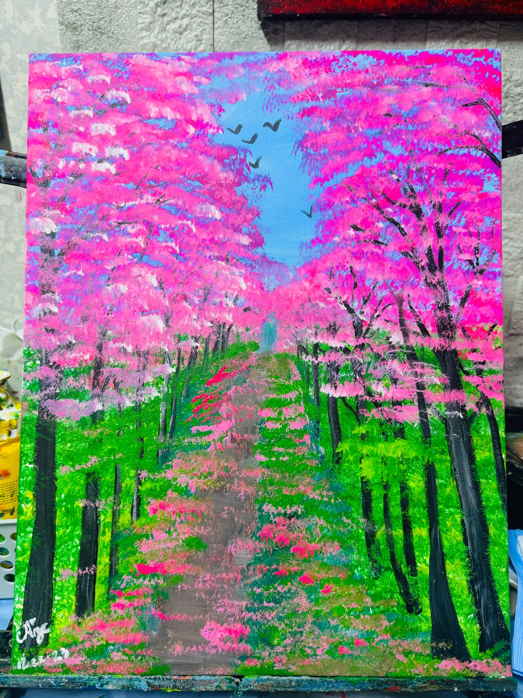 Cherry Blossom | 콜리(Colley)