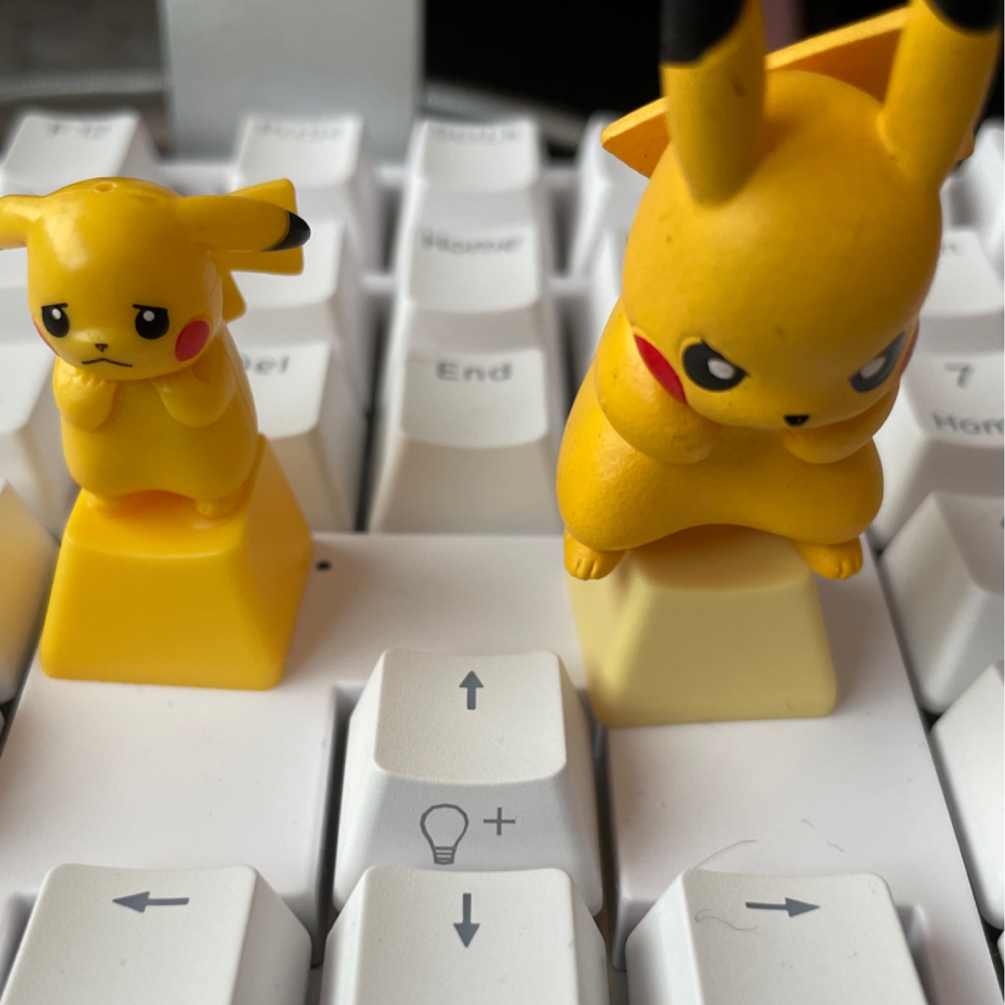 귀엽죵 | 콜리(Colley)