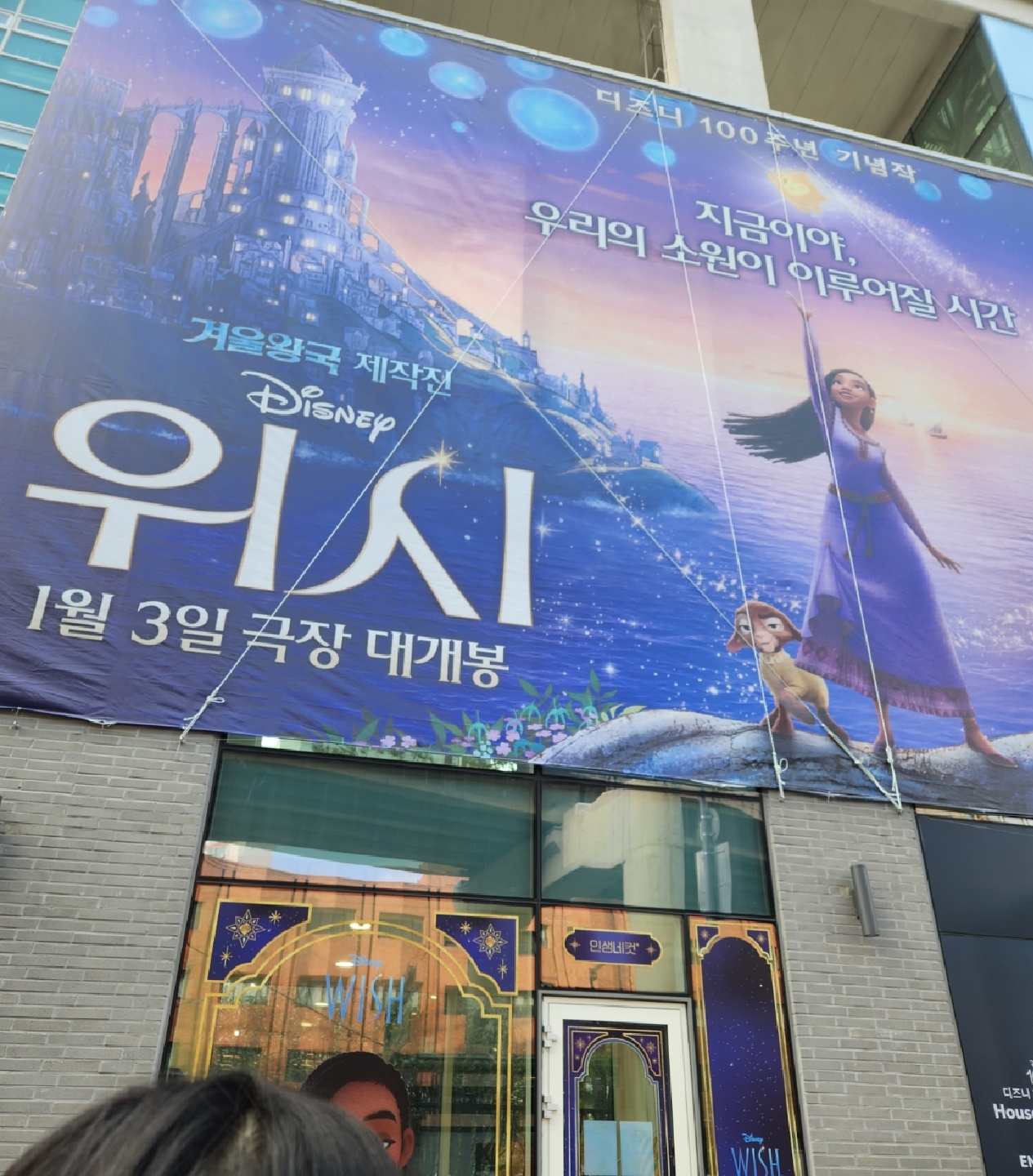디즈니 100주면 팝업스토어 콜리 Colley