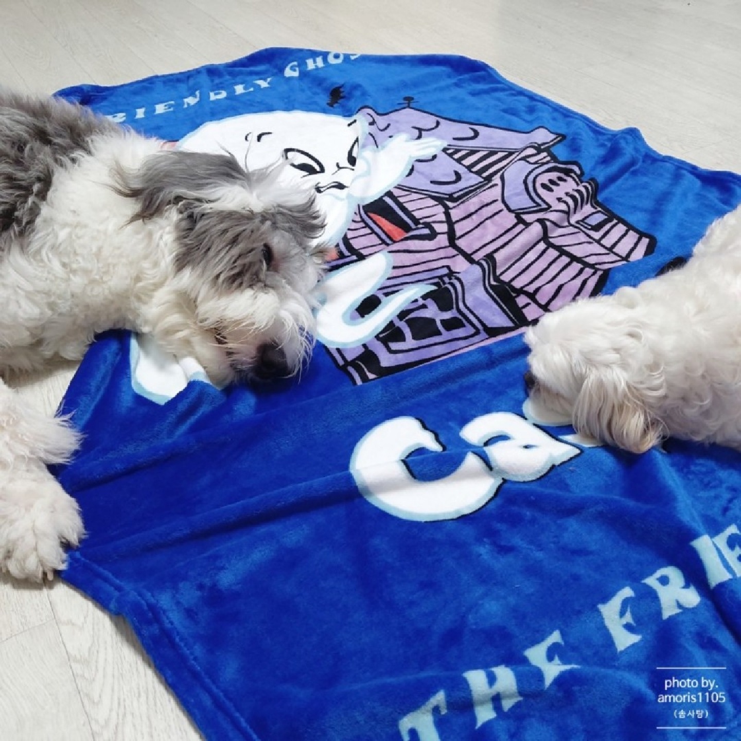 [GS25×꼬마유령 캐스퍼] 할로윈 콜라보, 캐스퍼 담요 | 콜리(Colley)