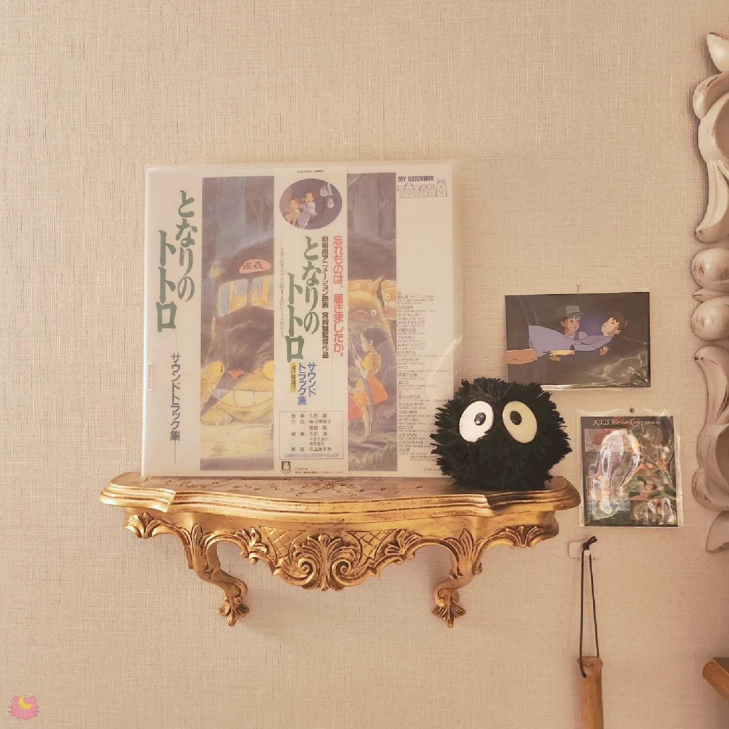 이웃집 토토로 lp🤎 | 콜리(Colley)