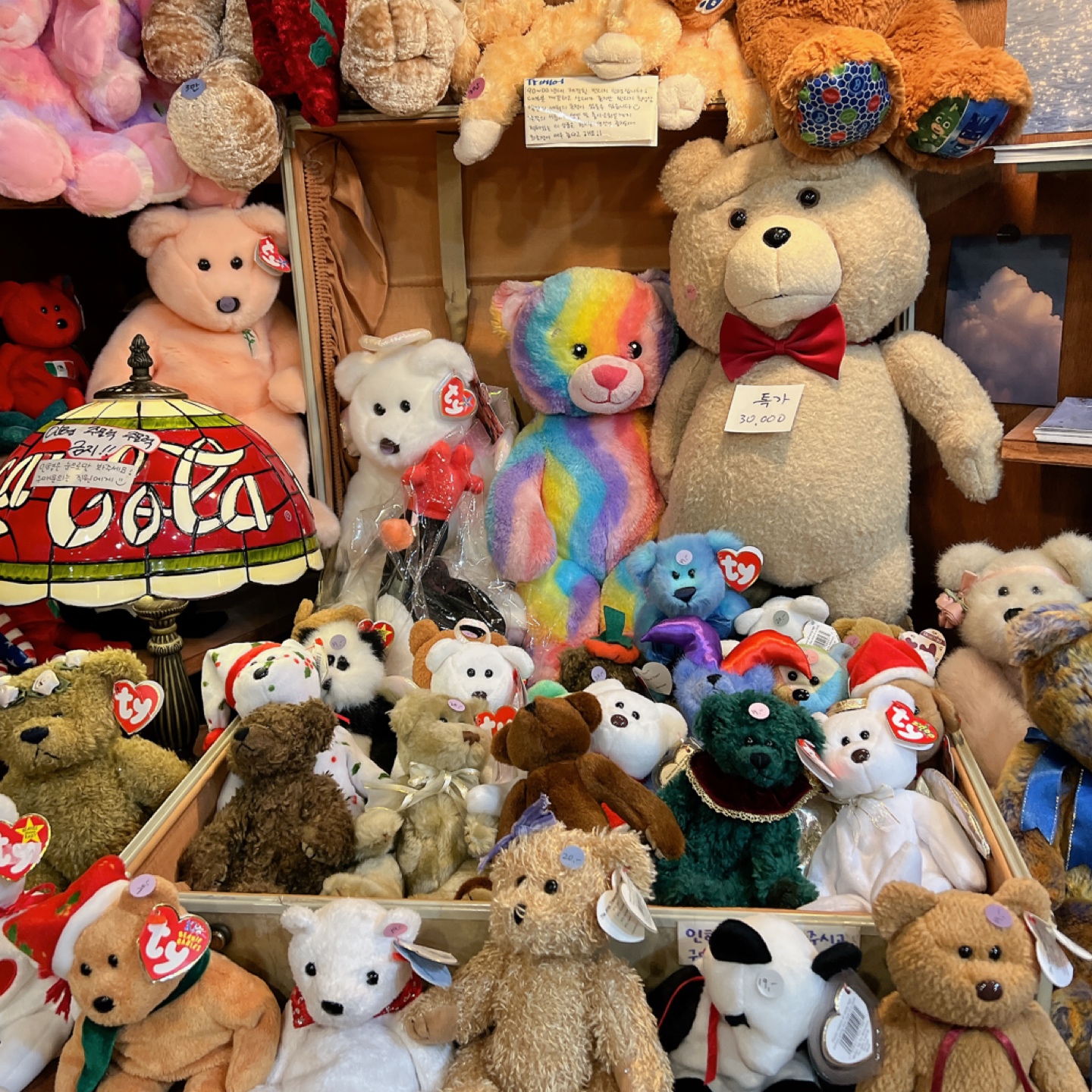 TY베어 💙💚 ️💛 | 콜리(Colley)