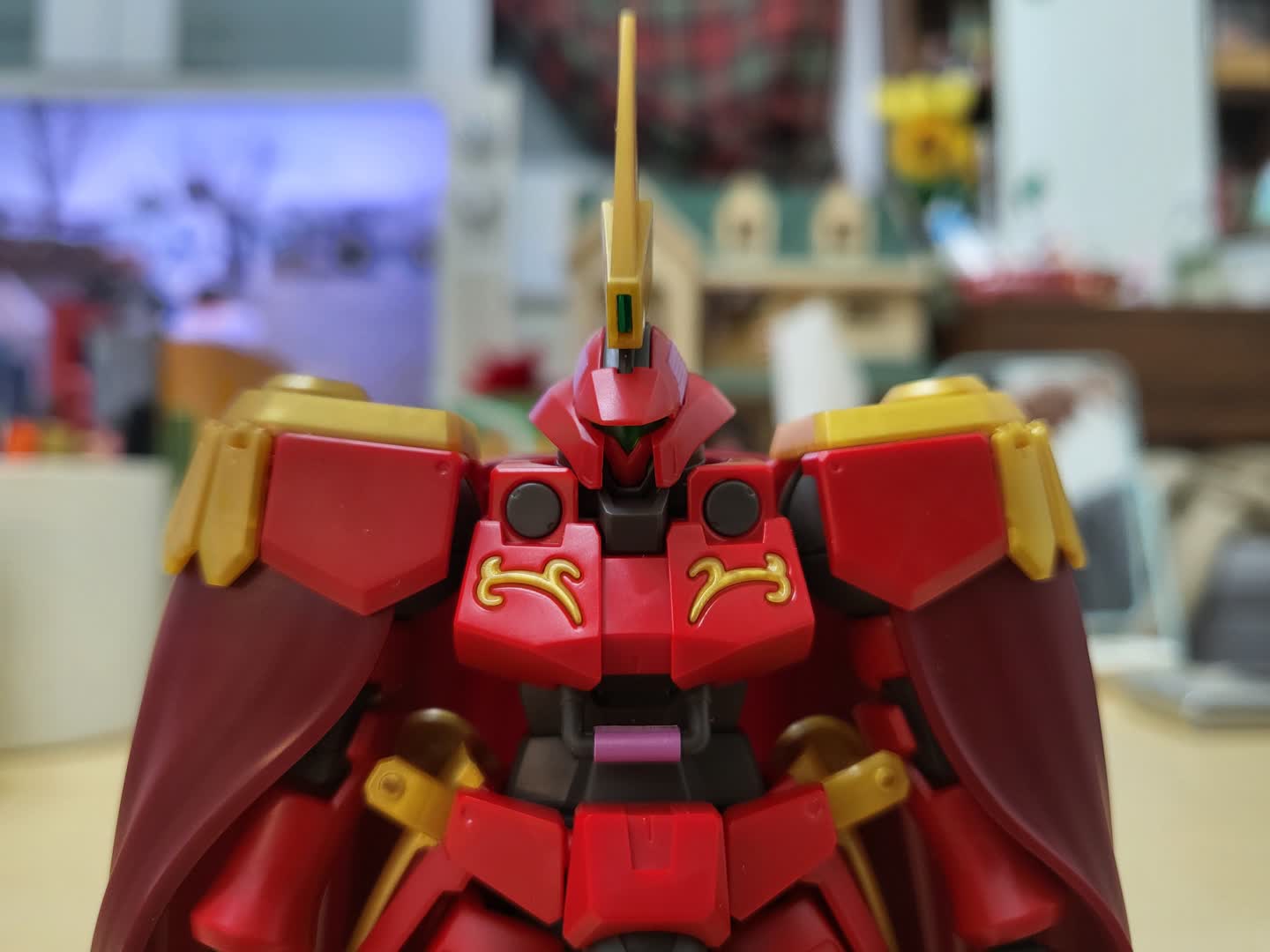 HG 리오S | 콜리(Colley)