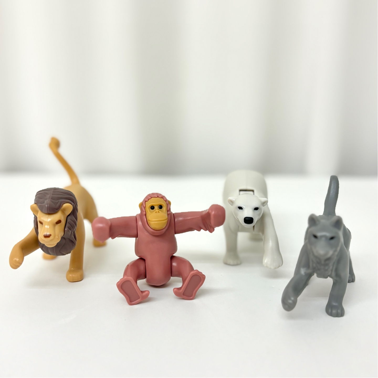 Lumos!🪄 | 콜리(Colley)