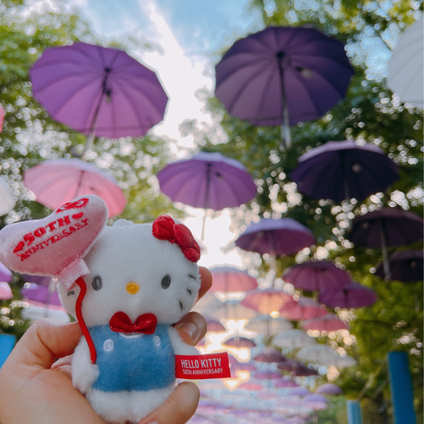 진짜 15년만에 온 놀이공원은 | 콜리(Colley)