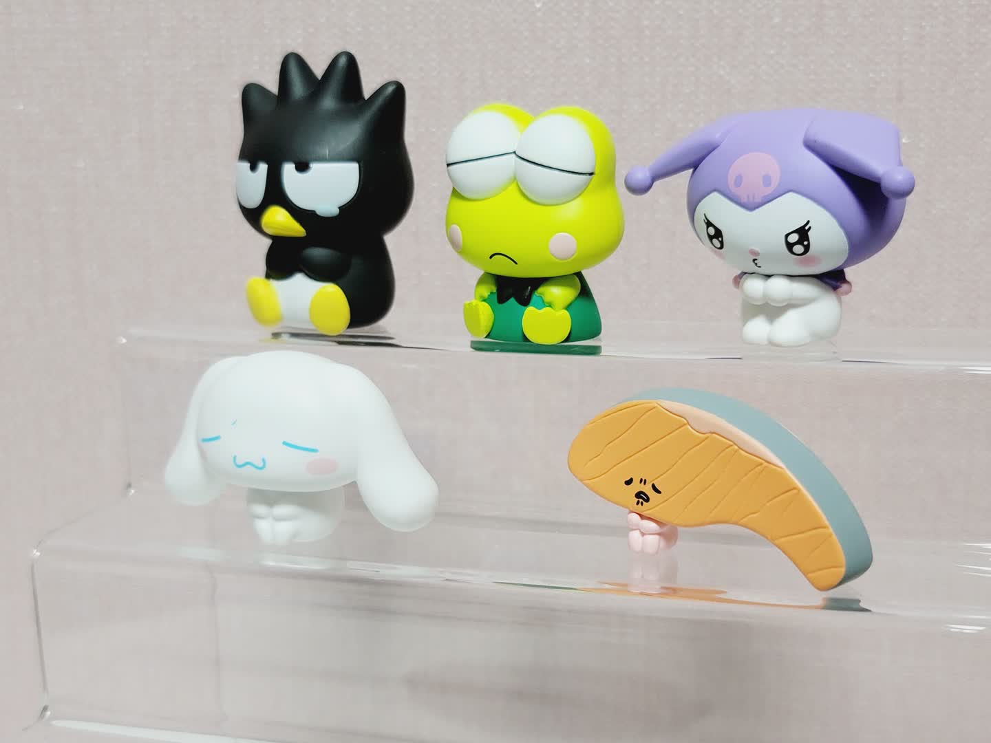 아주아주 슬픈 표정으로 누군가를 기다리는 | 콜리(Colley)