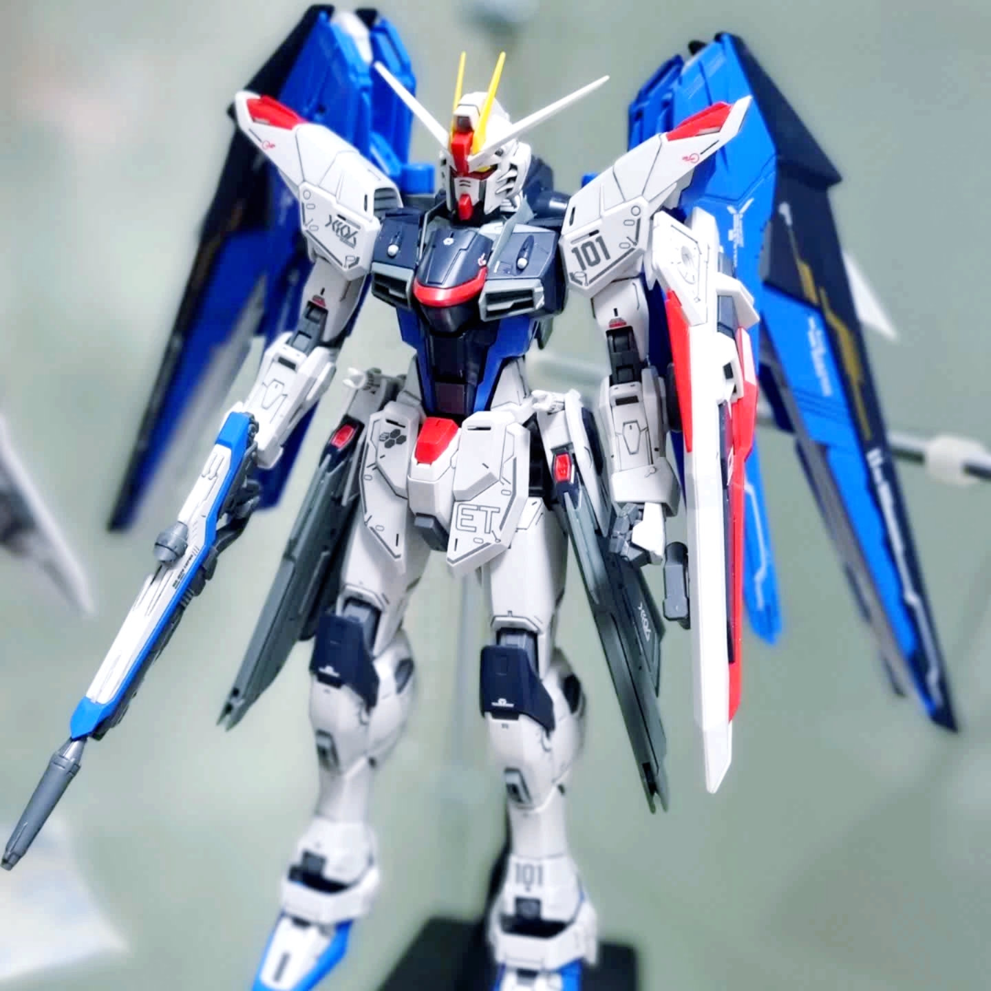 MG 프리덤 2.0 | 콜리(Colley)