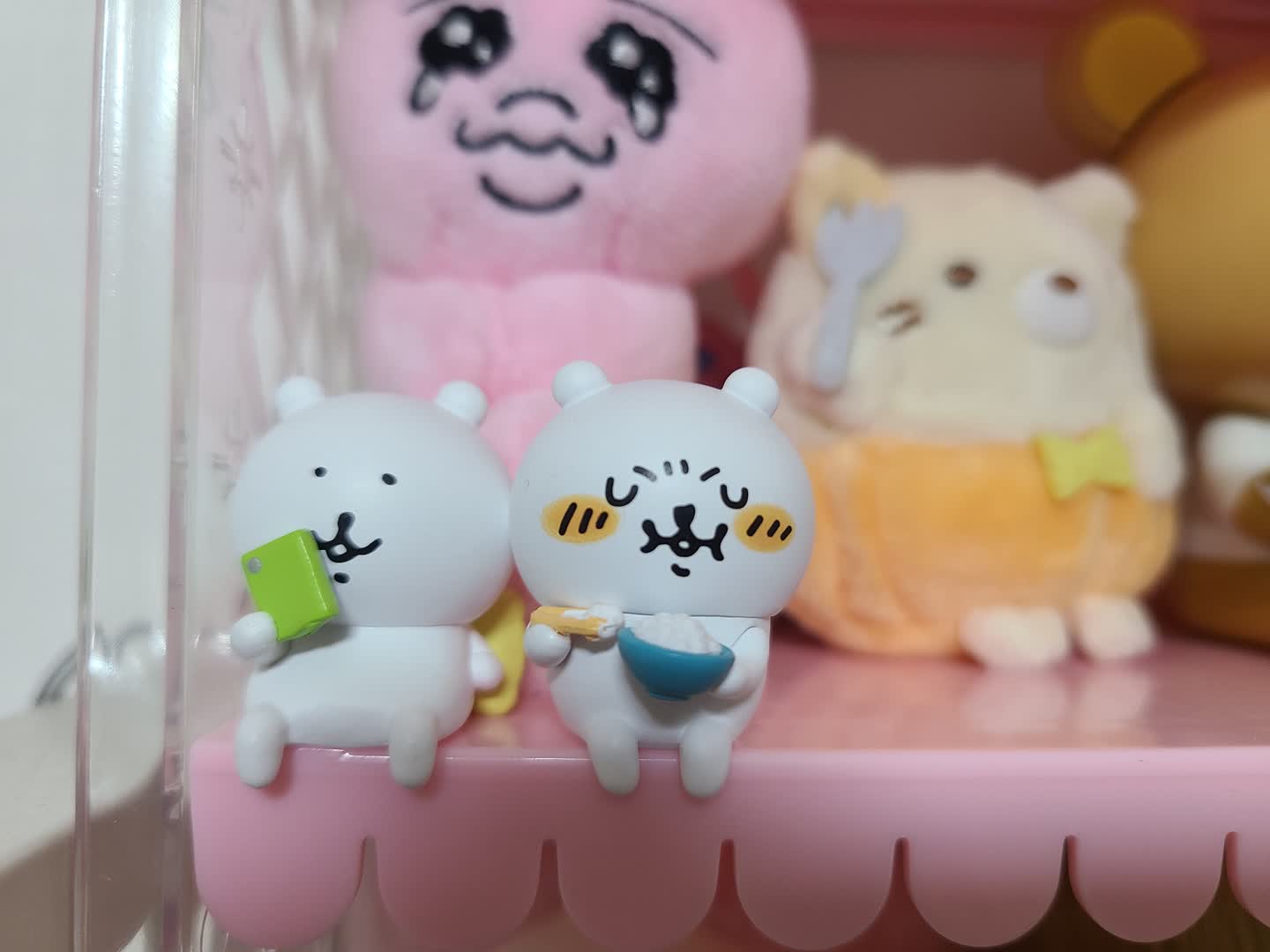농담곰 콜리 Colley