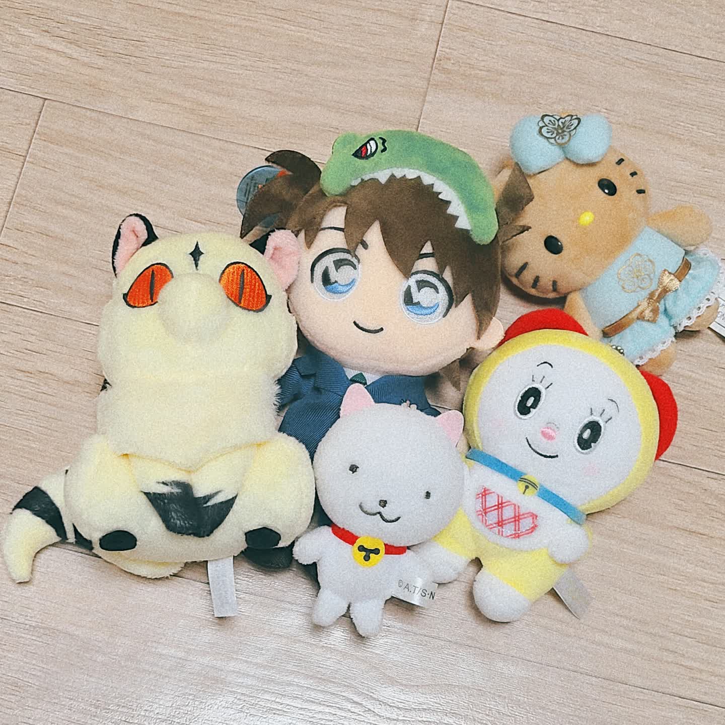 𝚆𝚘𝚛𝚕𝚍 𝙲𝚊𝚝'𝚜 𝙳𝚊𝚢 🐱💓 | 콜리(Colley)