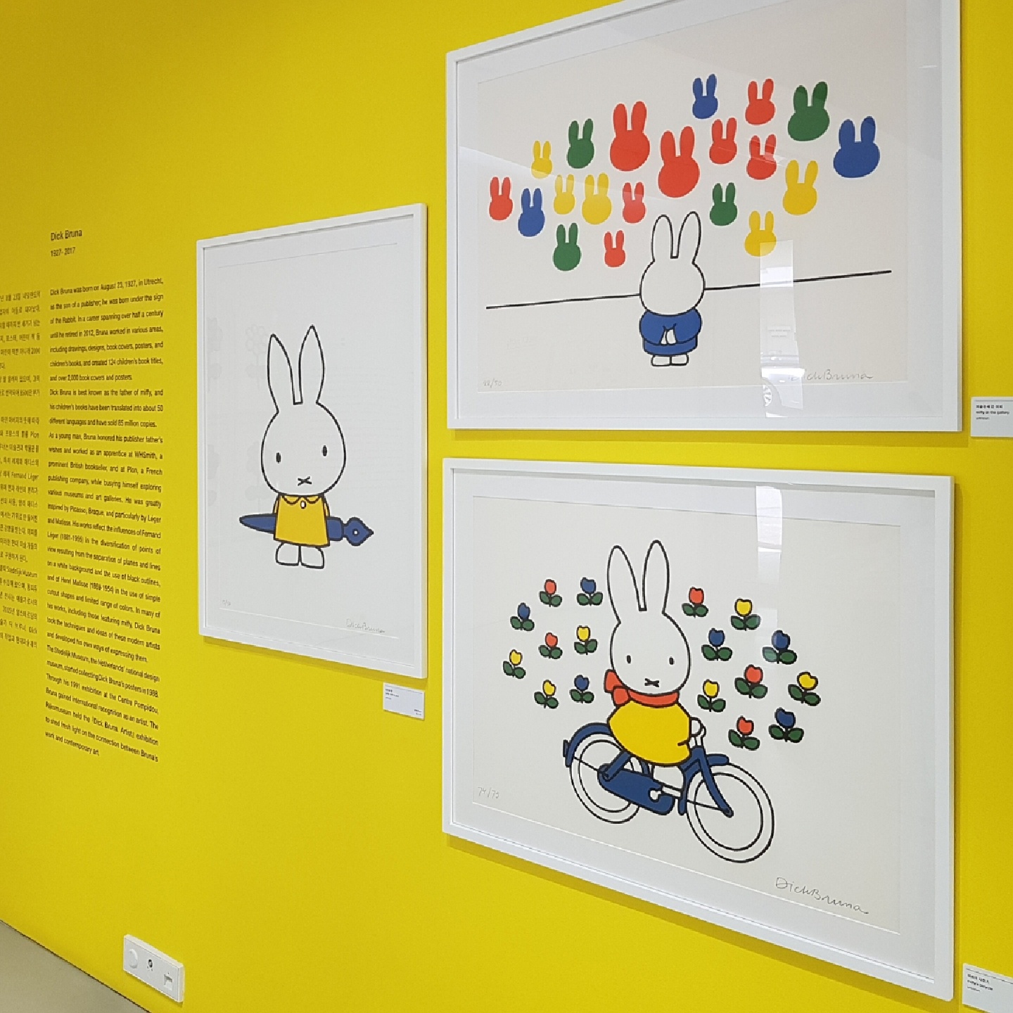 🧡Meet miffy | 콜리(Colley)