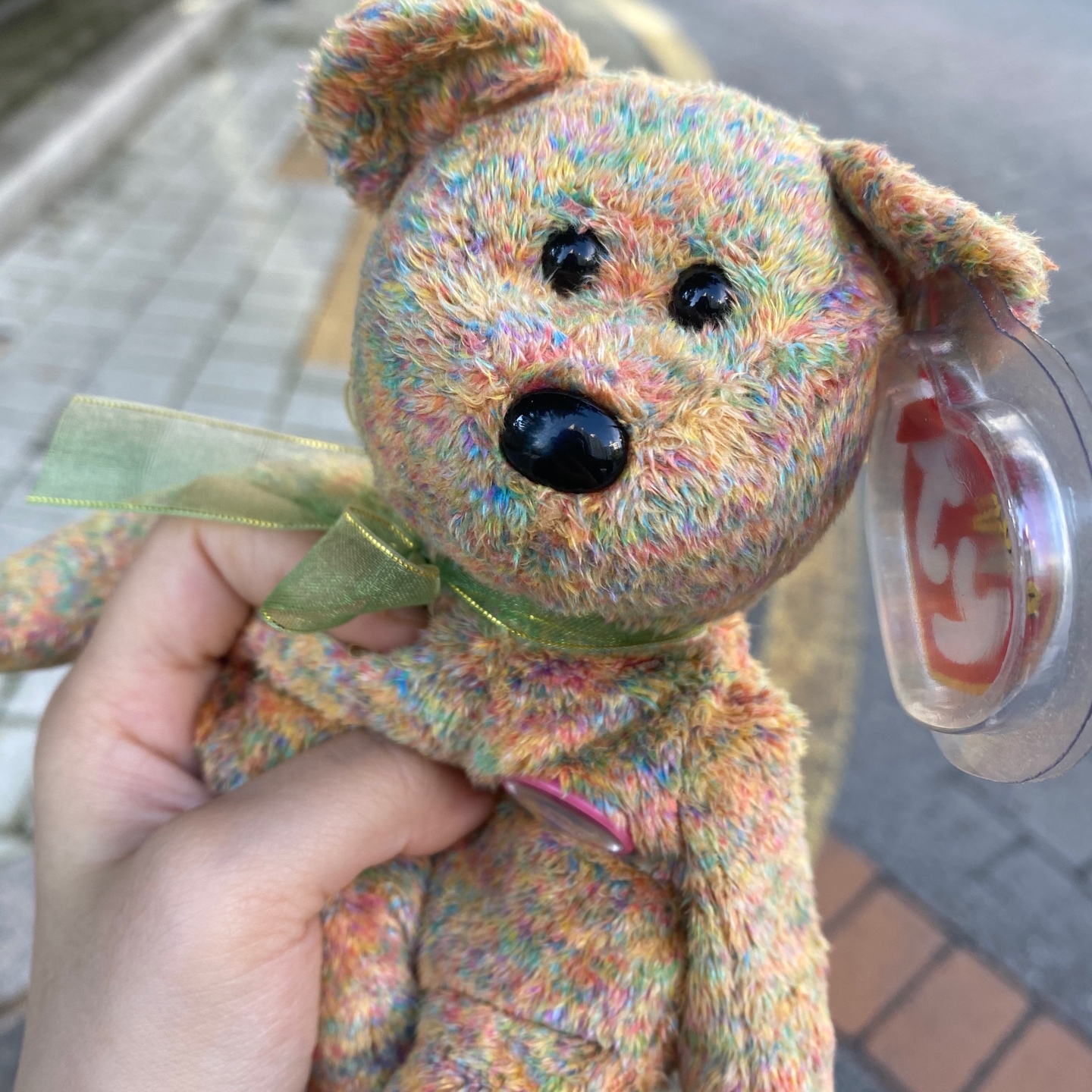 하찮고 귀여운🧸 | 콜리(Colley)