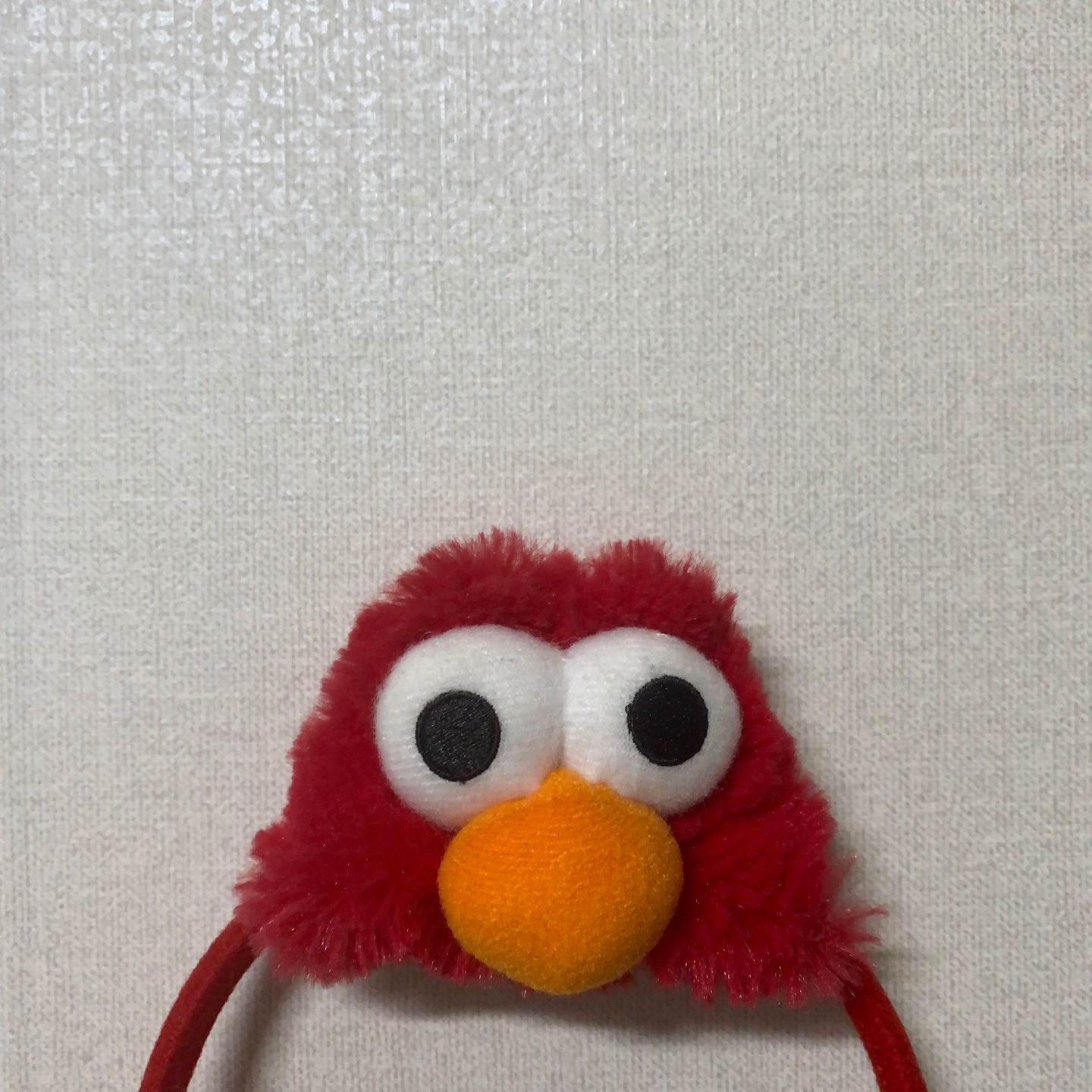 걔햰이가 준 거 ️ 콜리 Colley