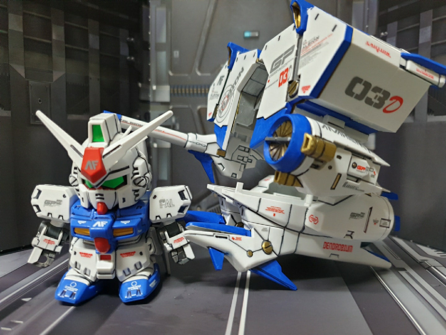 SD 덴드로비움 | 콜리(Colley)