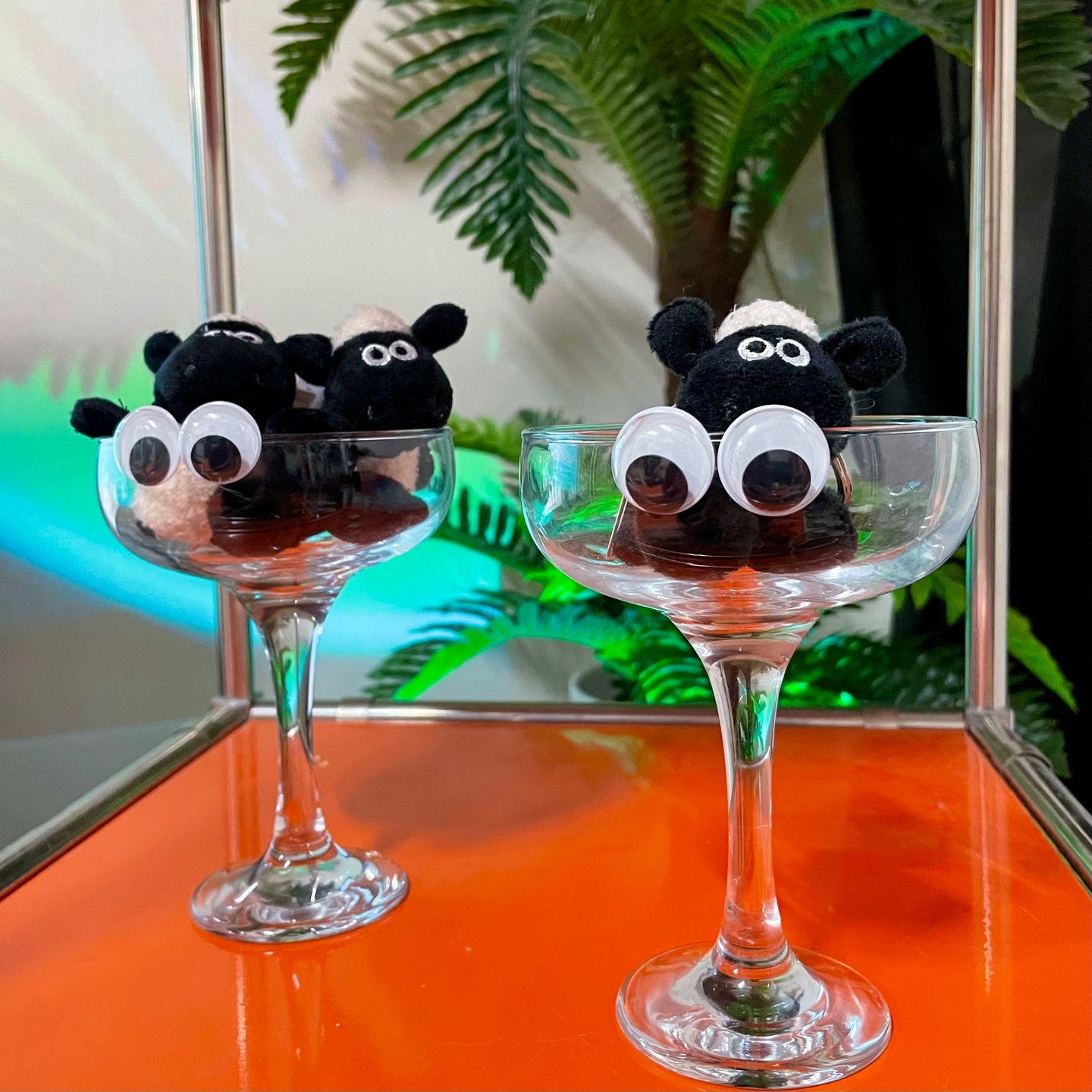 숀더쉽 숀 키링 | 콜리(Colley)