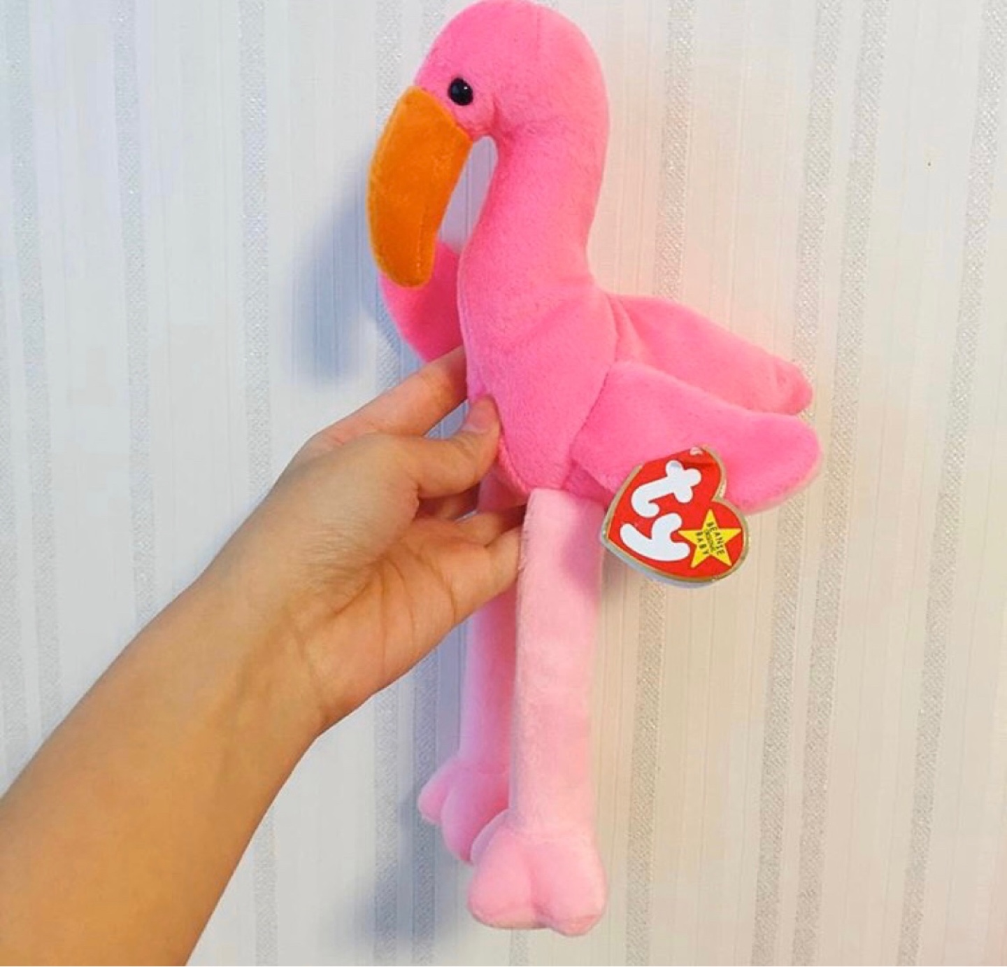 TY 플라밍고 인형 | 콜리(Colley)