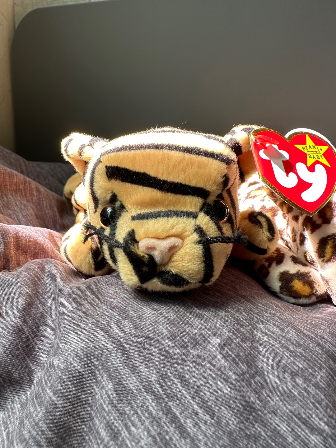 Ty 작은 동물 인형 | 콜리(Colley)