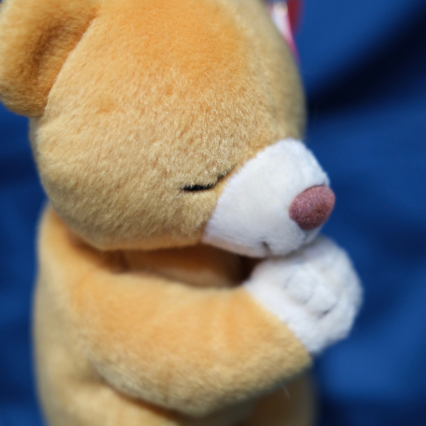 ty베어 기도하는 곰인형 | 콜리(Colley)