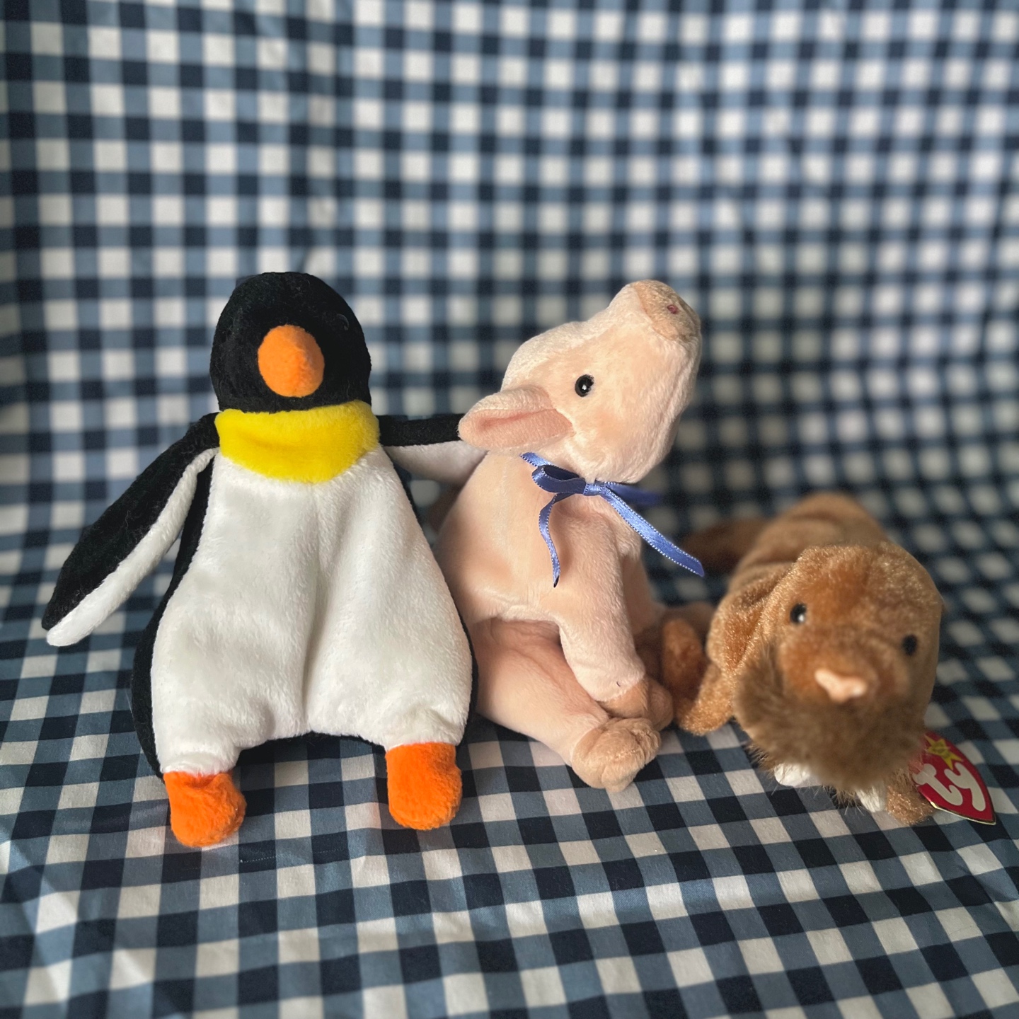 Ty 비니베이비 펭귄, 바다코끼리, 돼지 | 콜리(Colley)