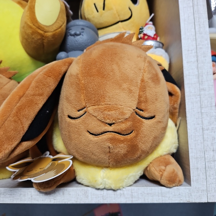 포켓몬스터-이브이 인형 | 콜리(Colley)