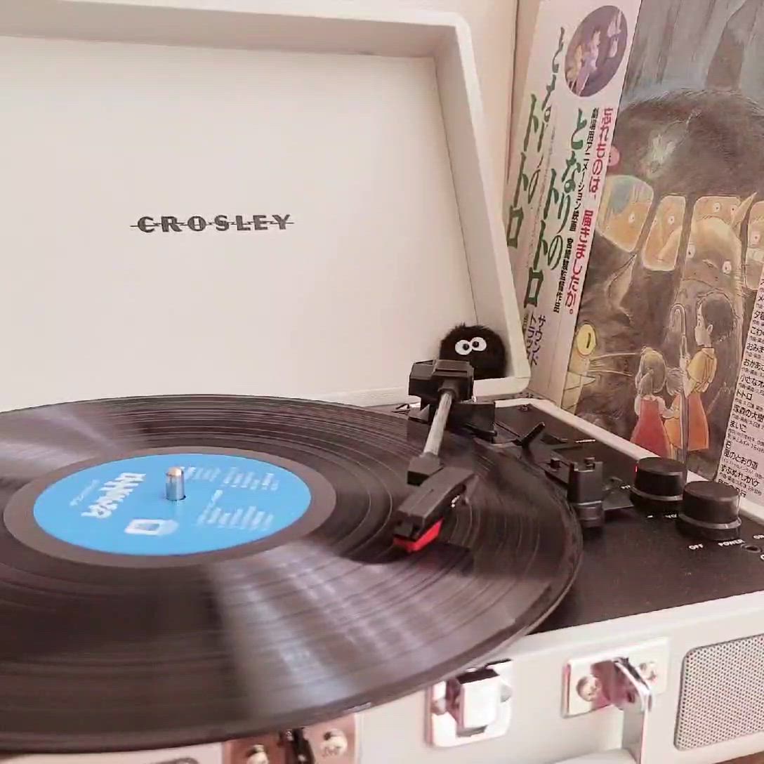 토토로 LP | 콜리(Colley)