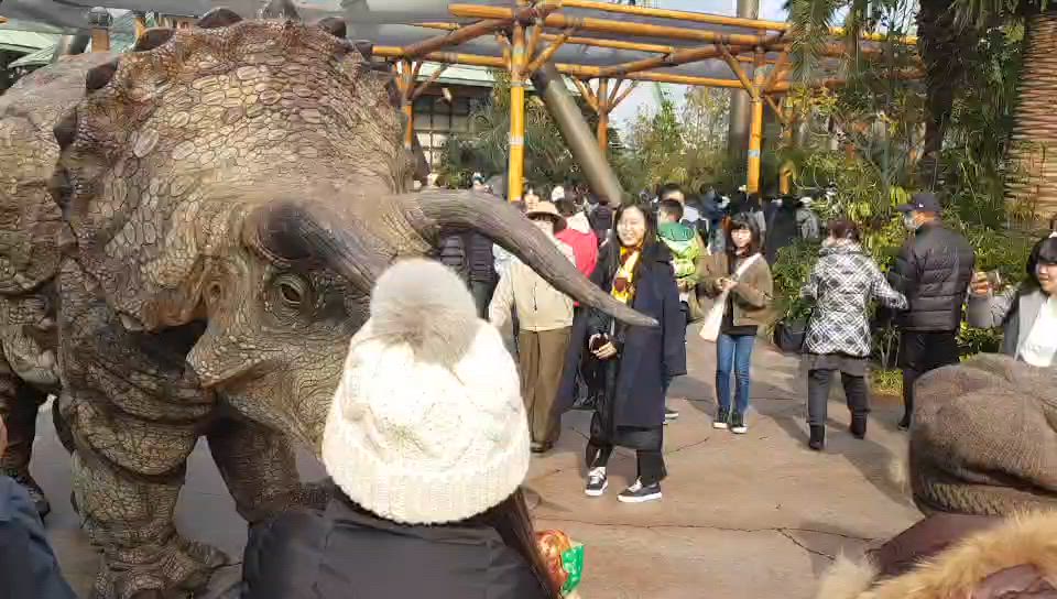 USJ의 쥬라기공원존에는 공룡이 나타납니다. | 콜리(Colley)