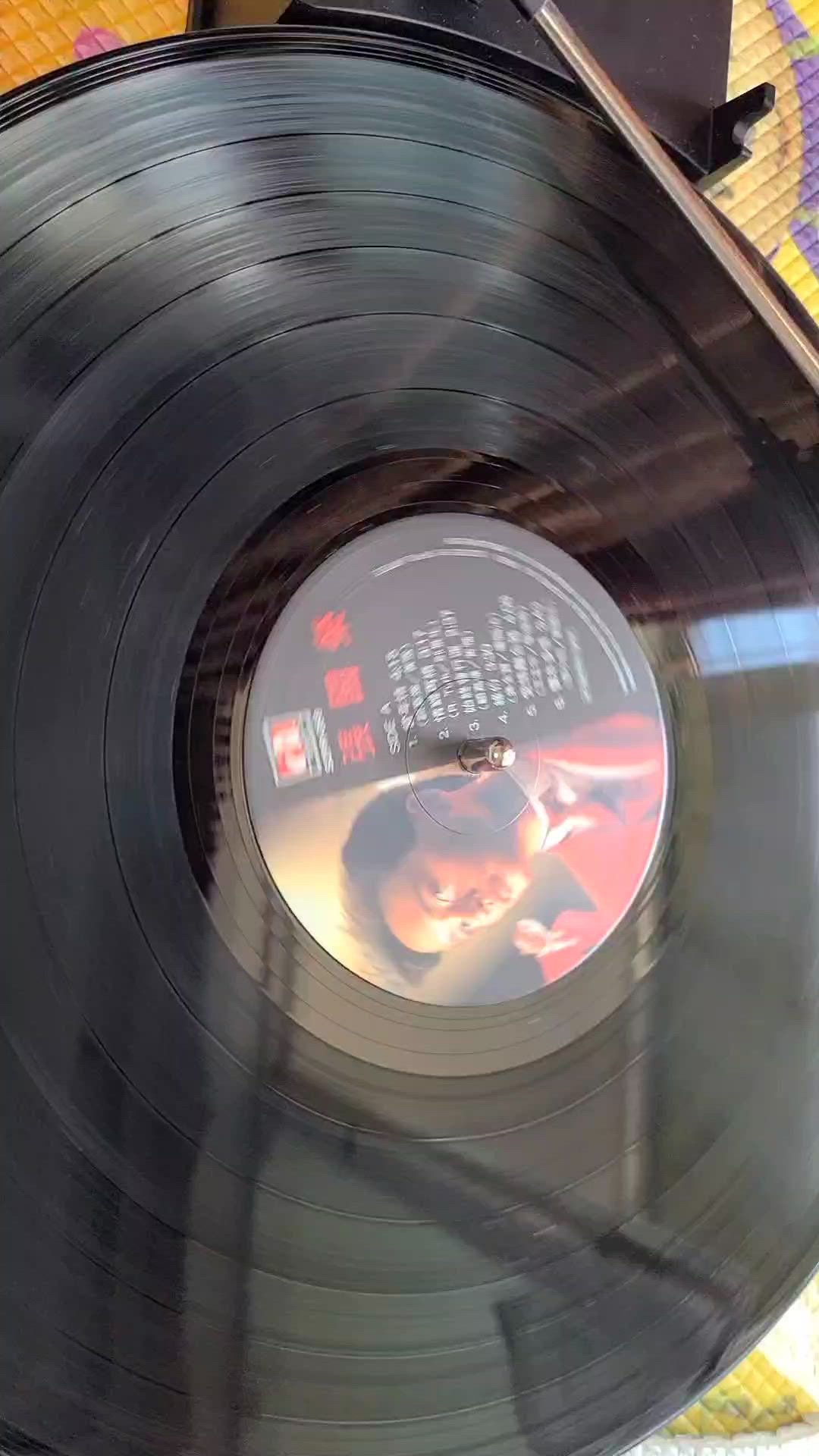 #바이닐 #LP #고전 #레트로 #바이닐lp | 콜리(Colley)