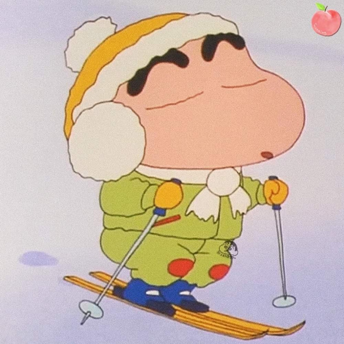 뚯뚜니 님의 프로필 | 콜리(Colley)