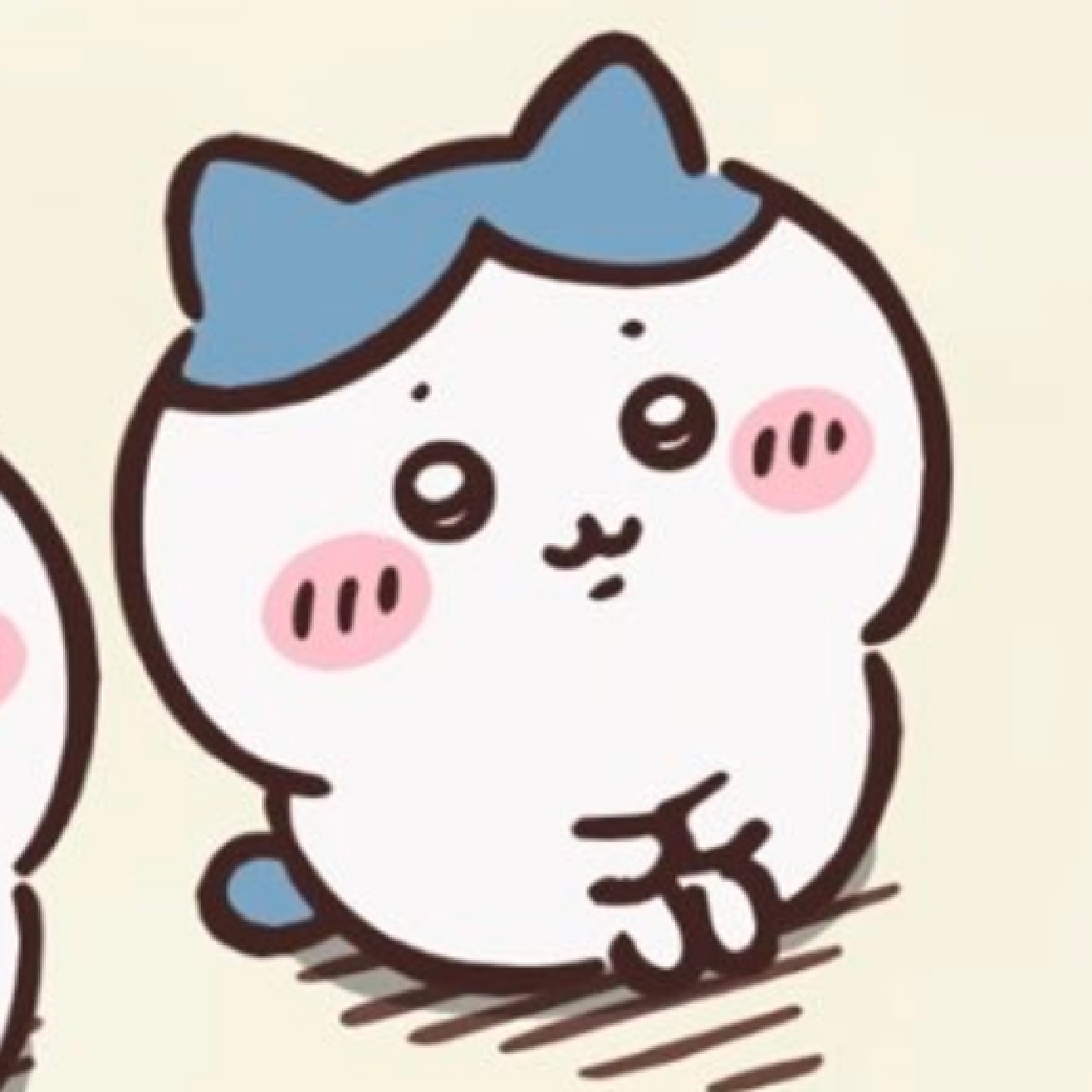 cat-holic 님의 프로필 | 콜리(Colley)